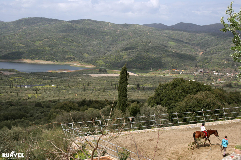 ΣΤΟ ΧΩΡΙΟ ΚΡΑΣΙ ΜΕ ΤΟ ΓΗΡΑΙΟΤΕΡΟ ΠΛΑΤΑΝΟ ΤΩΝ ΒΑΛΚΑΝΙΩΝ - Runvel