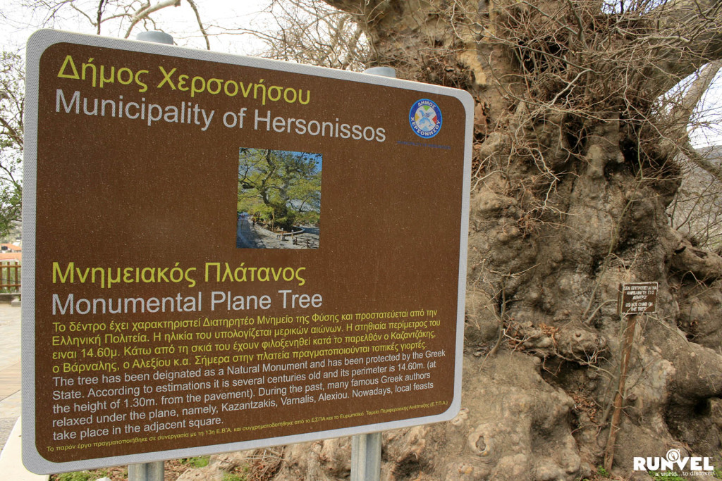 ΣΤΟ ΧΩΡΙΟ ΚΡΑΣΙ ΜΕ ΤΟ ΓΗΡΑΙΟΤΕΡΟ ΠΛΑΤΑΝΟ ΤΩΝ ΒΑΛΚΑΝΙΩΝ - Runvel